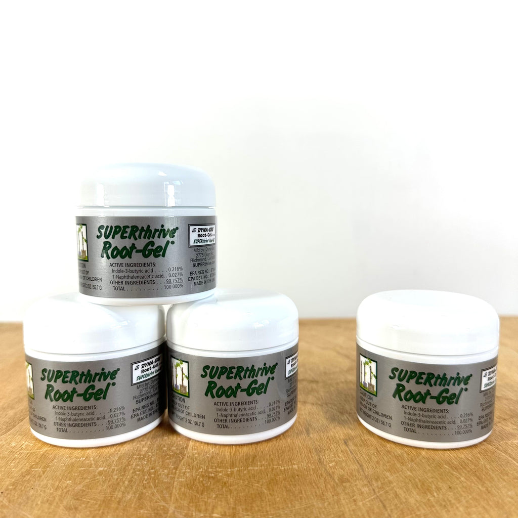 SUPERthrive "Root-Gel" – Allshapes Bonsai