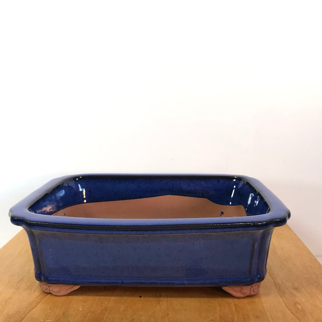 Pot Glazed Rectangle 13 x 10 In – Allshapes Bonsai