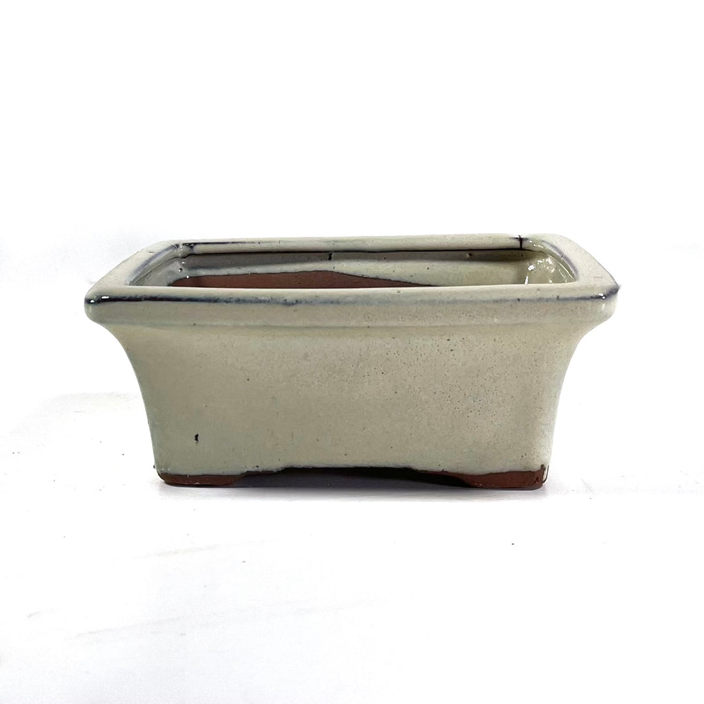 Glazed Rectangular Bonsai Pot (5½ x 4 x 2 inches) – Allshapes Bonsai