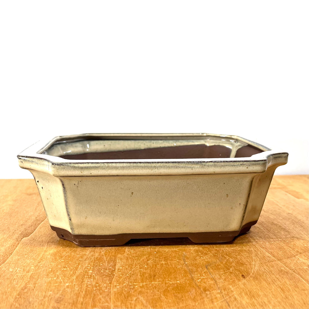 Pot 8" Rectangle Beige – Allshapes Bonsai