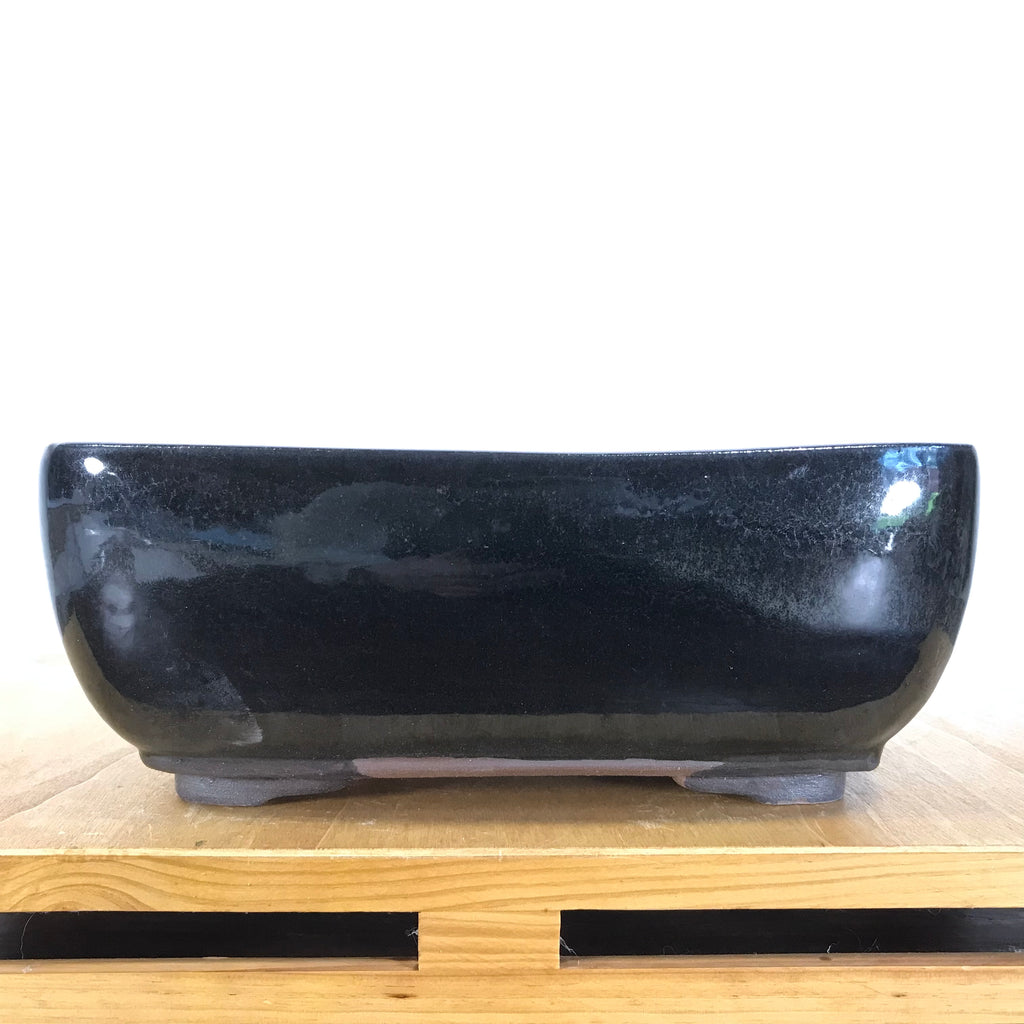 Glazed Rectangular Bonsai Pot (10 x 8 x 4 inches) – Allshapes Bonsai